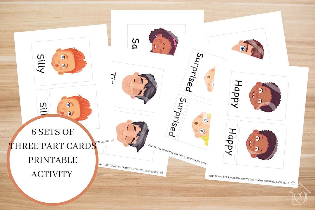Emotion Three Part Cards Activity, Social Emotional Skills, Montessori ...