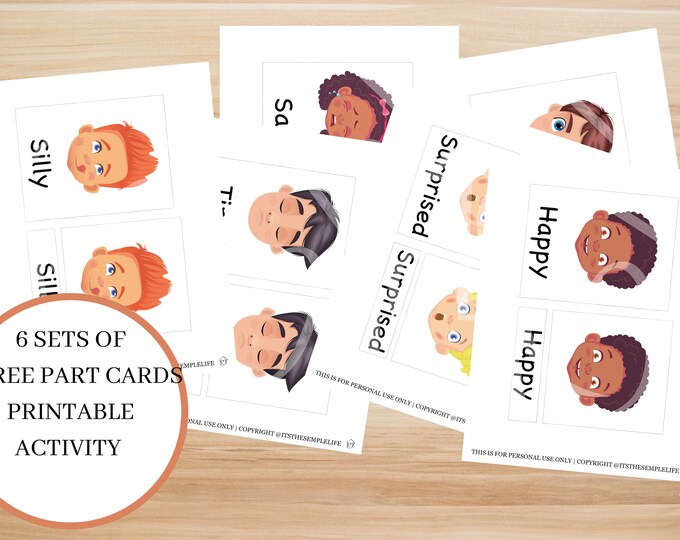 Emotion Three Part Cards Activity, Social Emotional Skills, Montessori ...