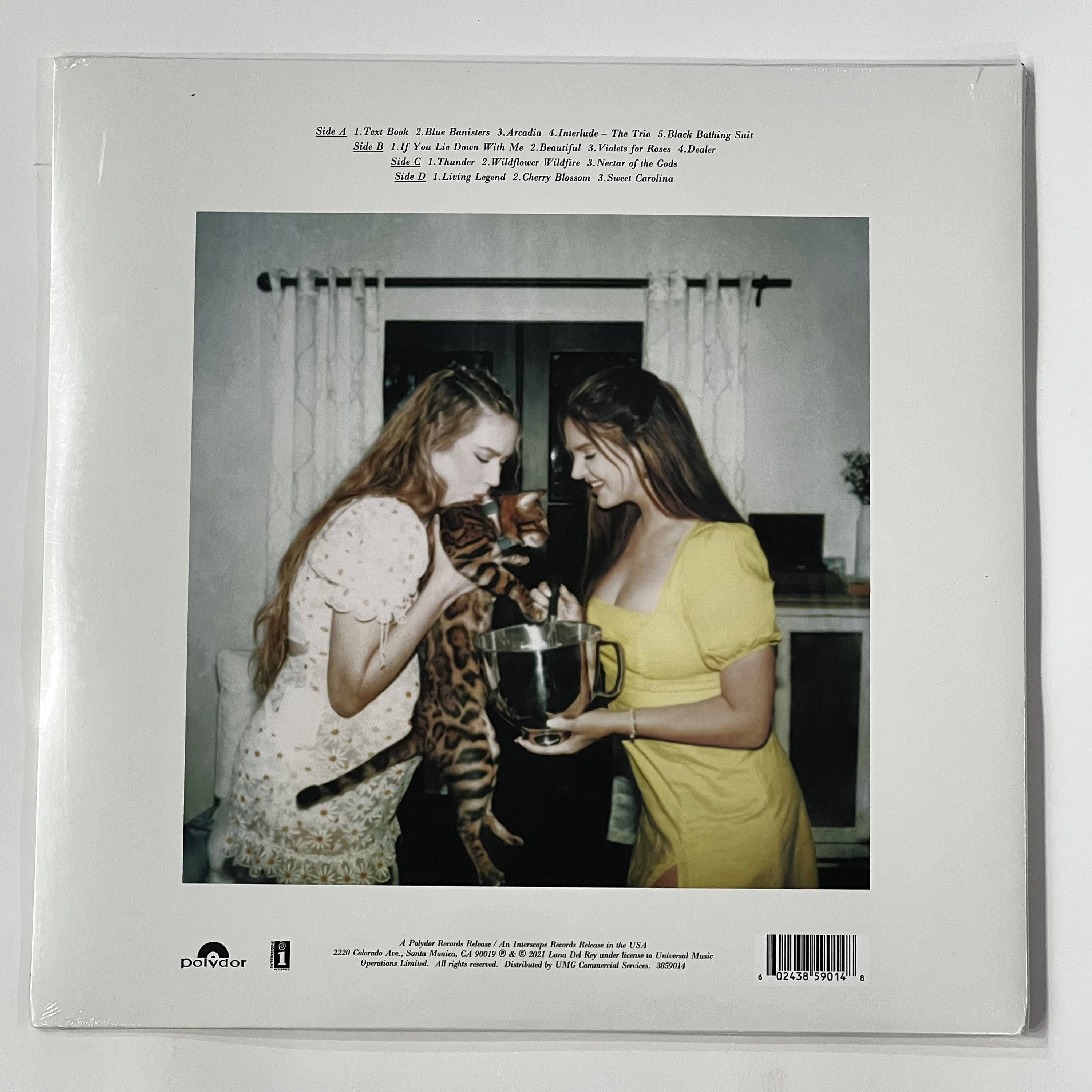 Lana Del Rey Blue Banisters 2LP Vinyl Limited Black 12" Record - Etsy