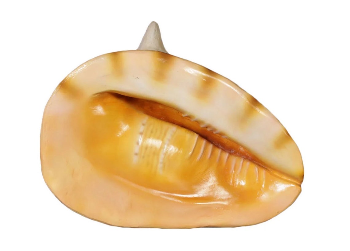 Extra Large Helmet Shell Replica - Etsy