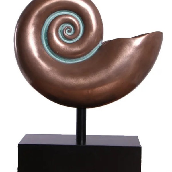 Large Nautilus Shell - Etsy