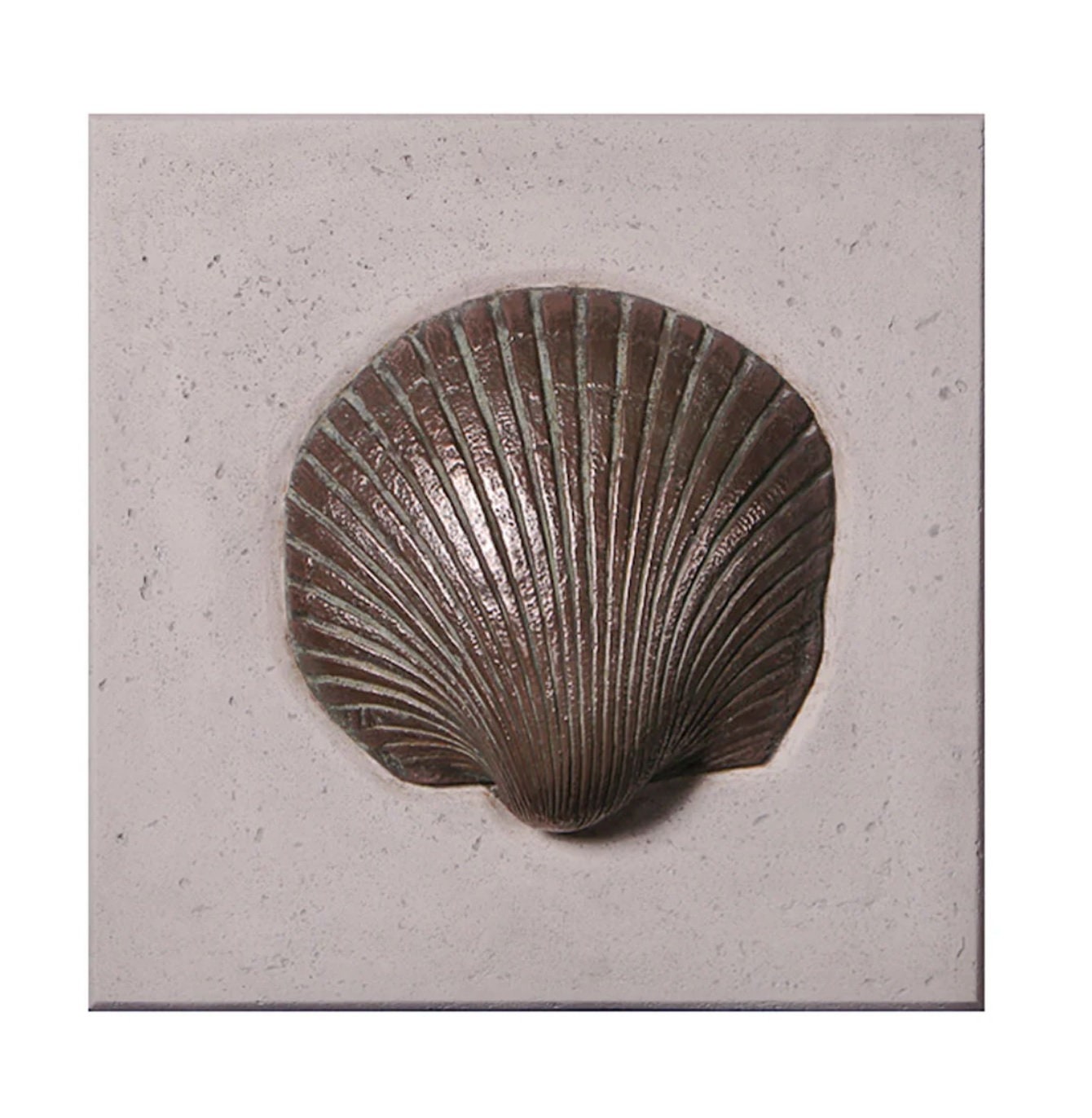20 Clam Shell Wall Plaque, Bronze Shell, Roman Stone Square Base - Etsy