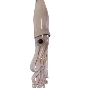 Squid Wall Sculpture natural - Etsy