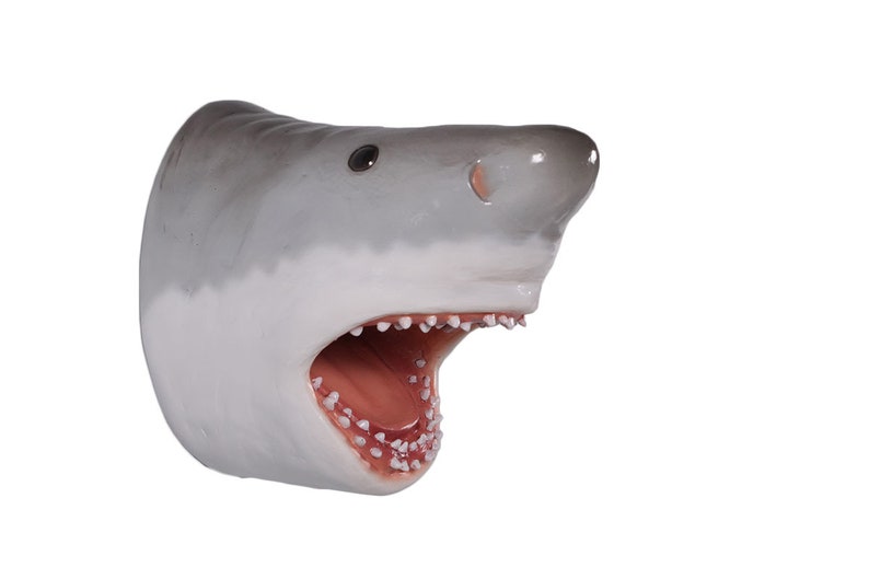 Small Great White Shark Head 10.2lx6.6w X 9.9h - Etsy