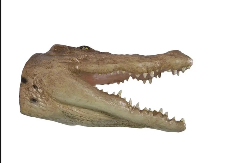 Large Crocodile Head Large Trophy Wall Sculpture Decor - Etsy