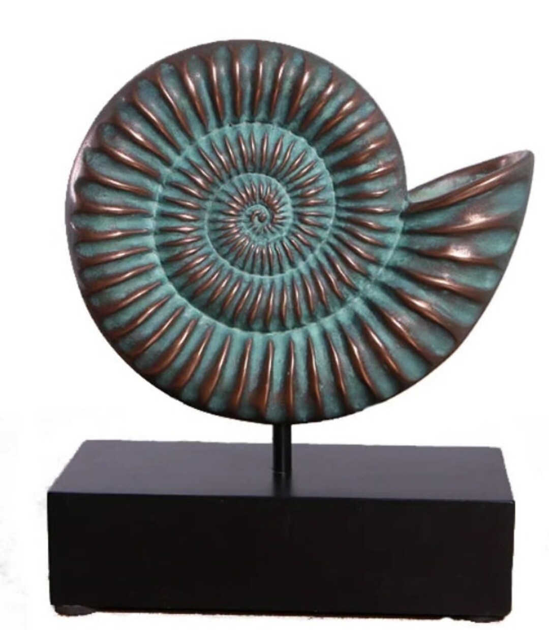 10 Small Nautilus Shell Verde Bronze Finish - Etsy