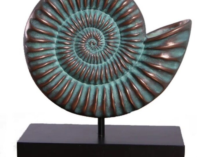 10″ Small Nautilus Shell Verde Bronze Finish - Etsy