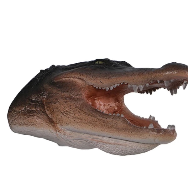 Alligator Heads - Etsy
