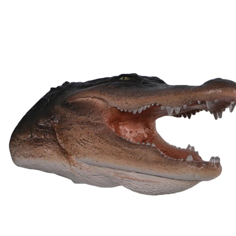 Alligator Heads - Etsy