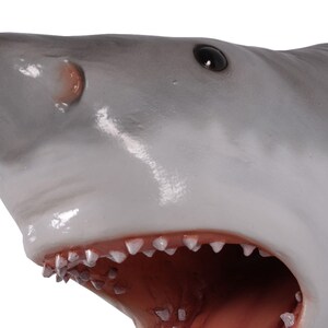 Small Great White Shark Head 10.2"lx6.6"w X 9.9"h - Etsy