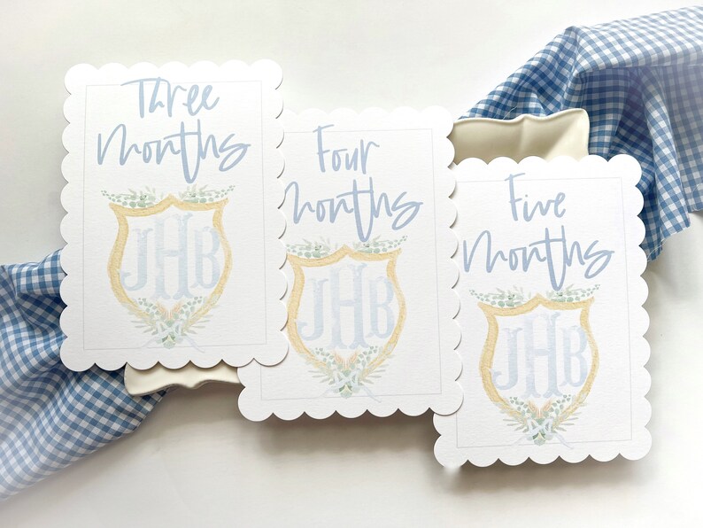 Milestone Cards Baby Milestone Month Cards Milestone Set - Etsy