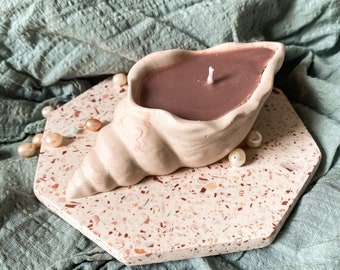 Conch Shell - Etsy