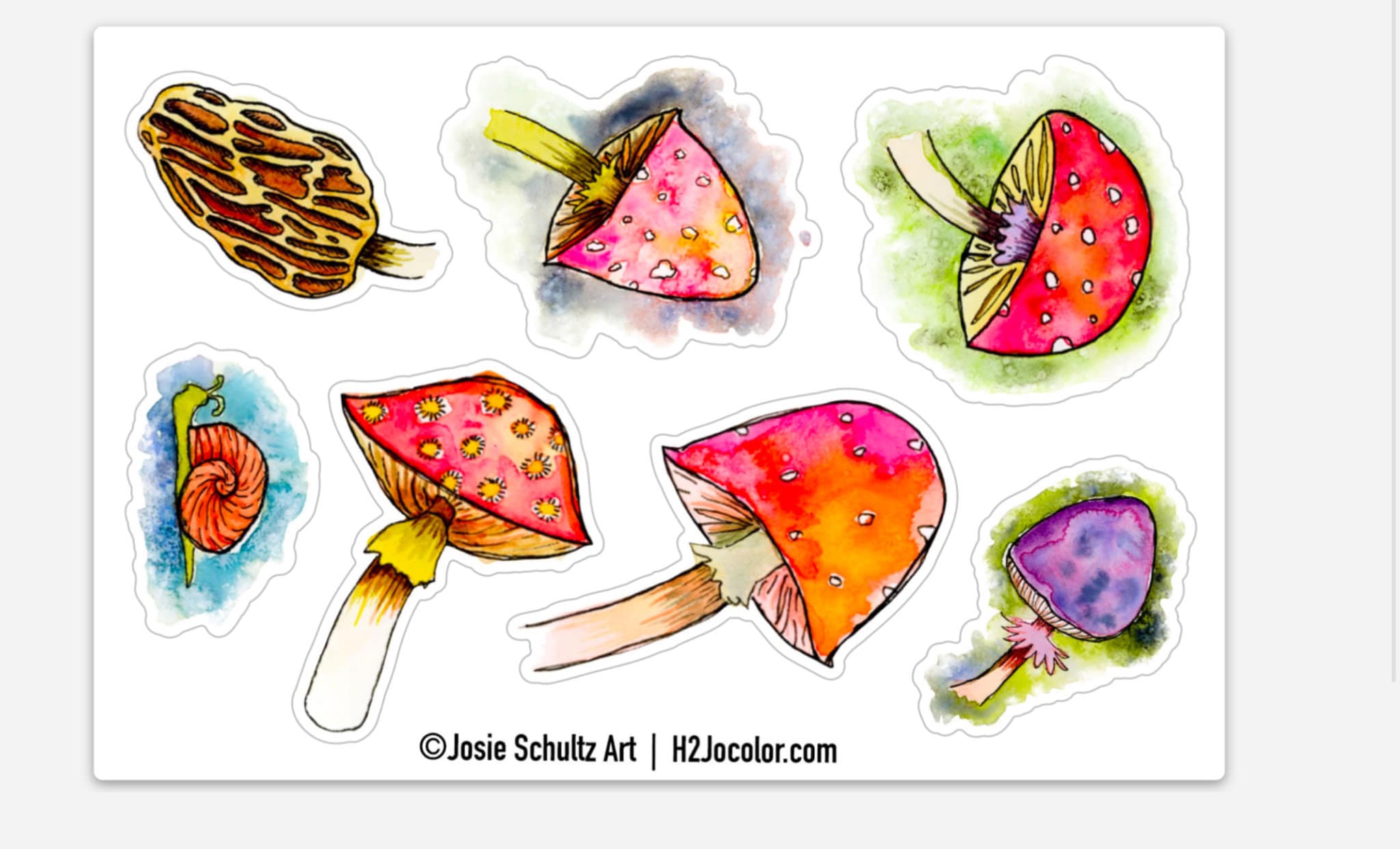4x6 Mushroom Sticker Sheet, Vinyl Decal, Car Decal, Bumper Sticker ...
