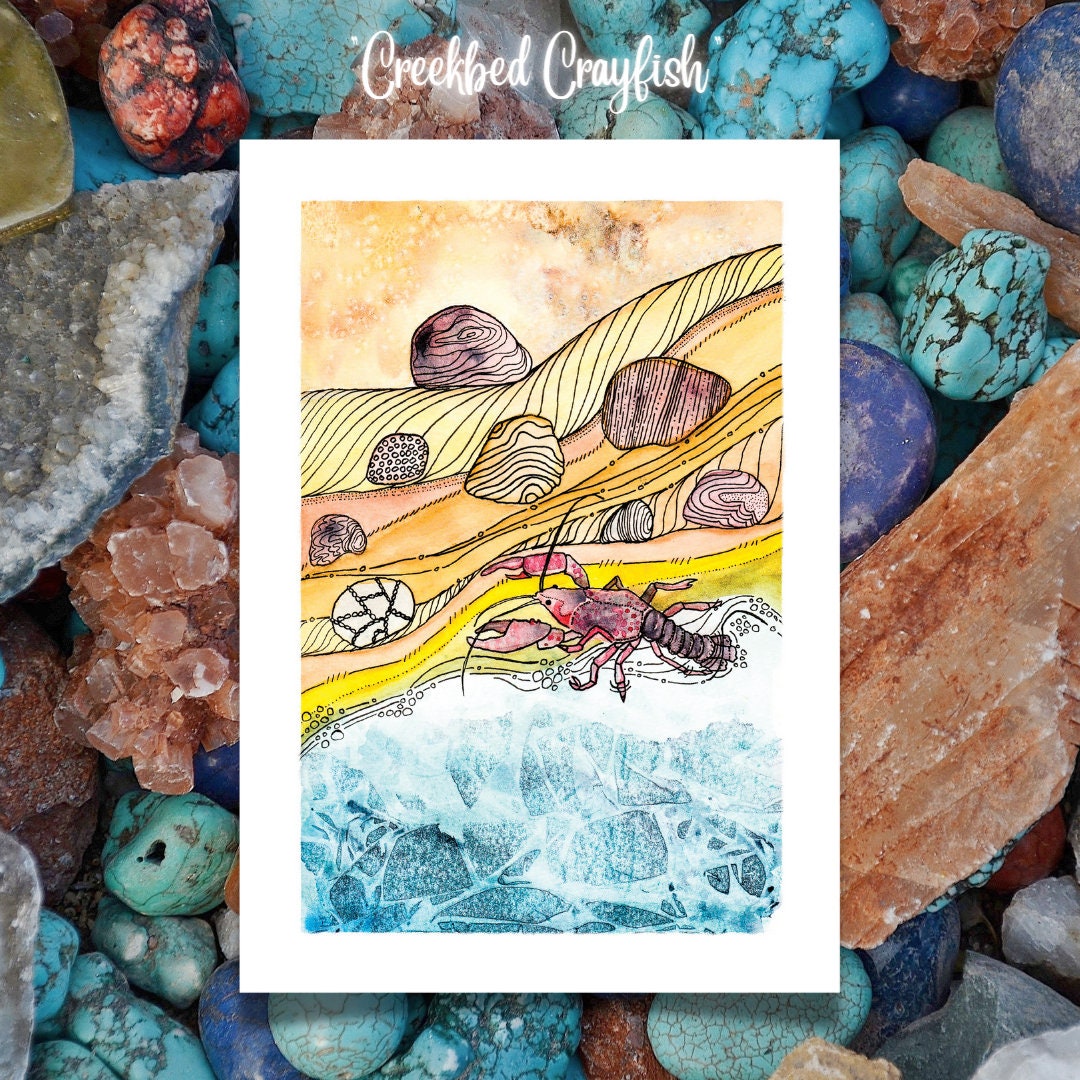 Creekbed Crayfish Print and Greeting Card, Watercolor, Painting, Fine ...
