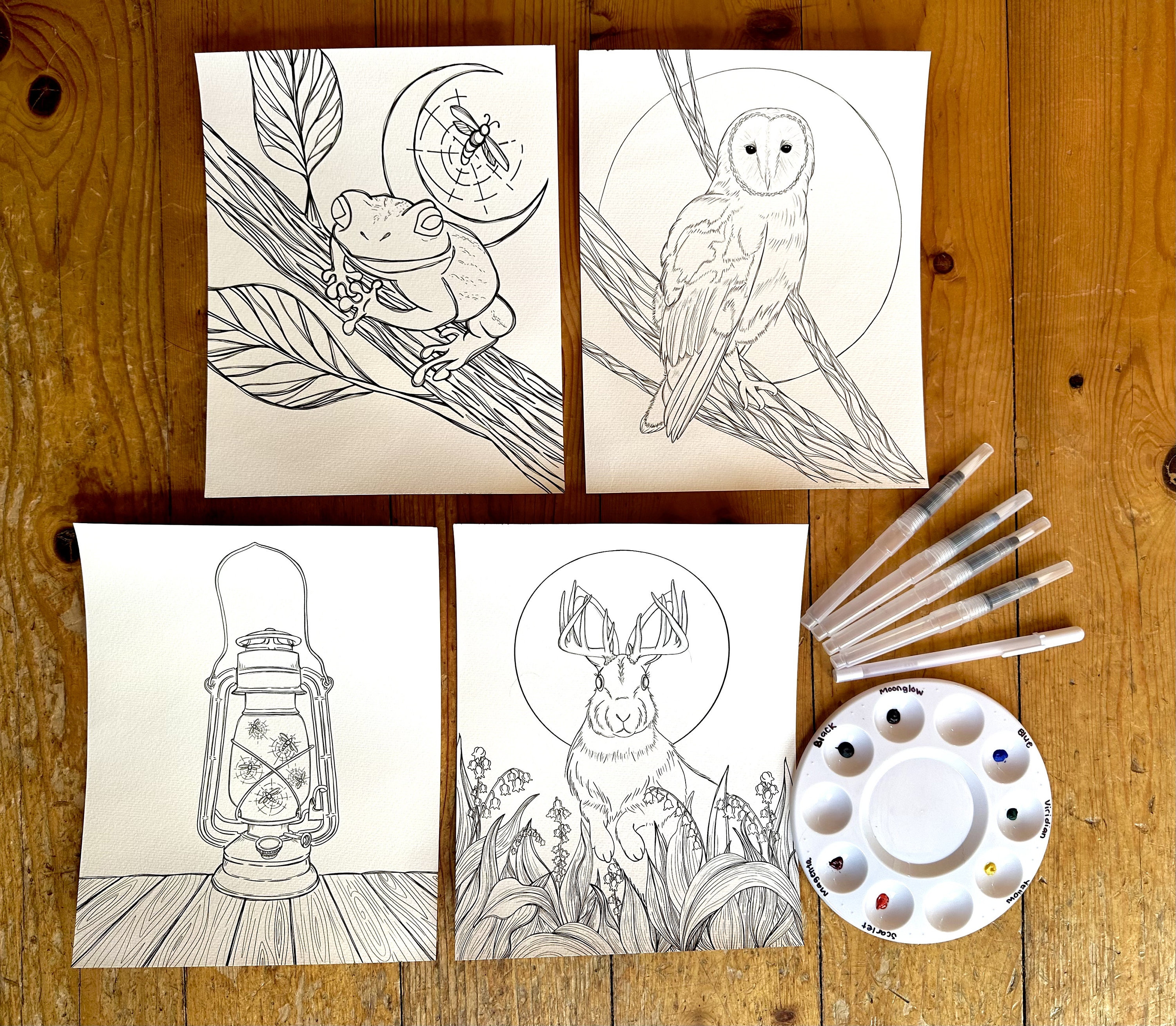 Whimsical Watercolor Coloring Page Kit, Painting, Watercoloring ...