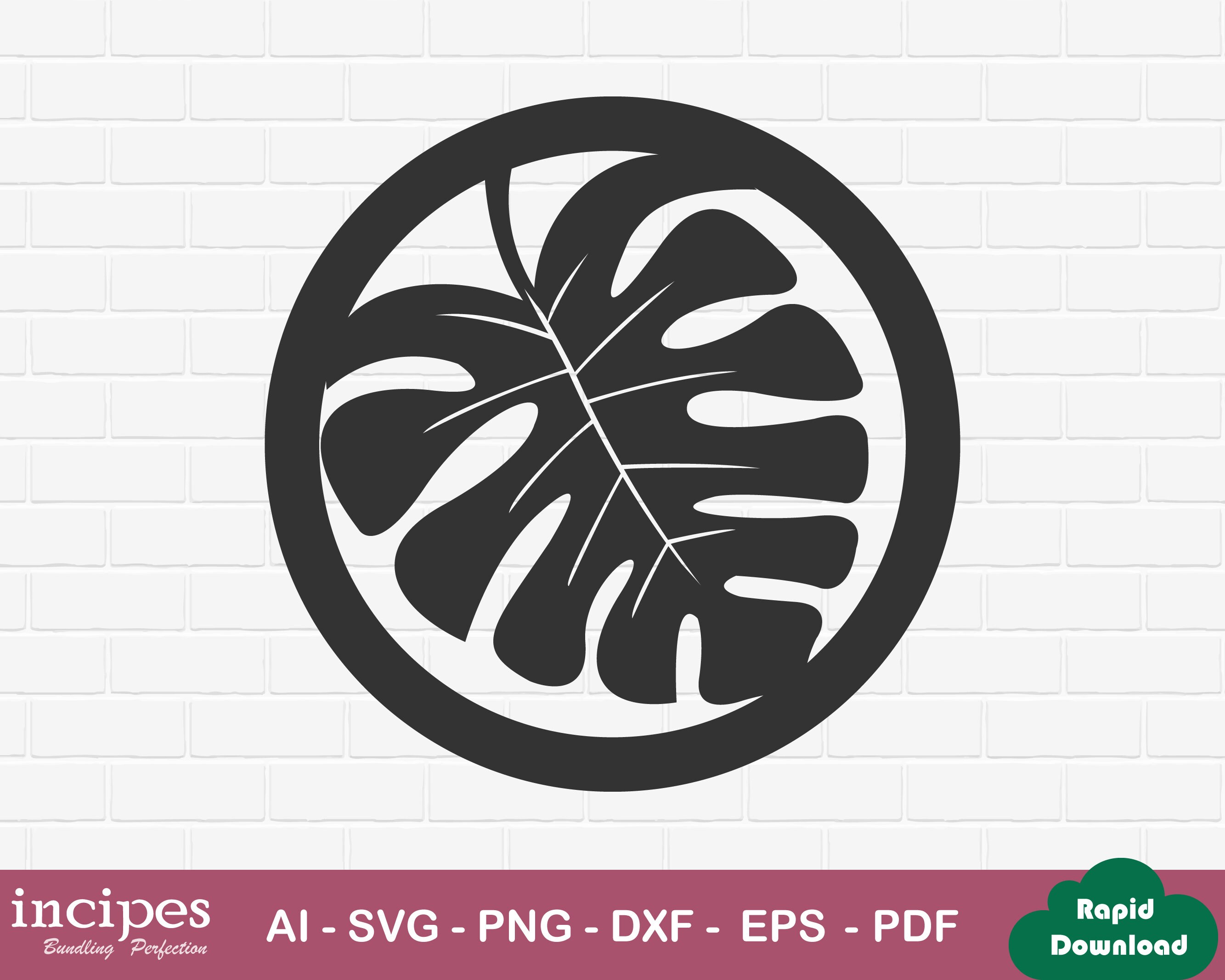 Bundle Monstera Template SVG. Monstera Cricut Coaster. - Etsy