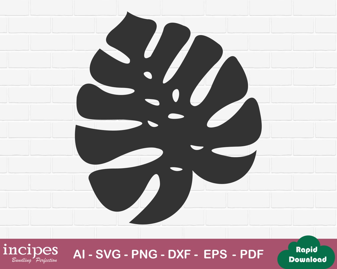 Monstera SVG. Template Monstera. Monstera Cricut. Monstera - Etsy UK