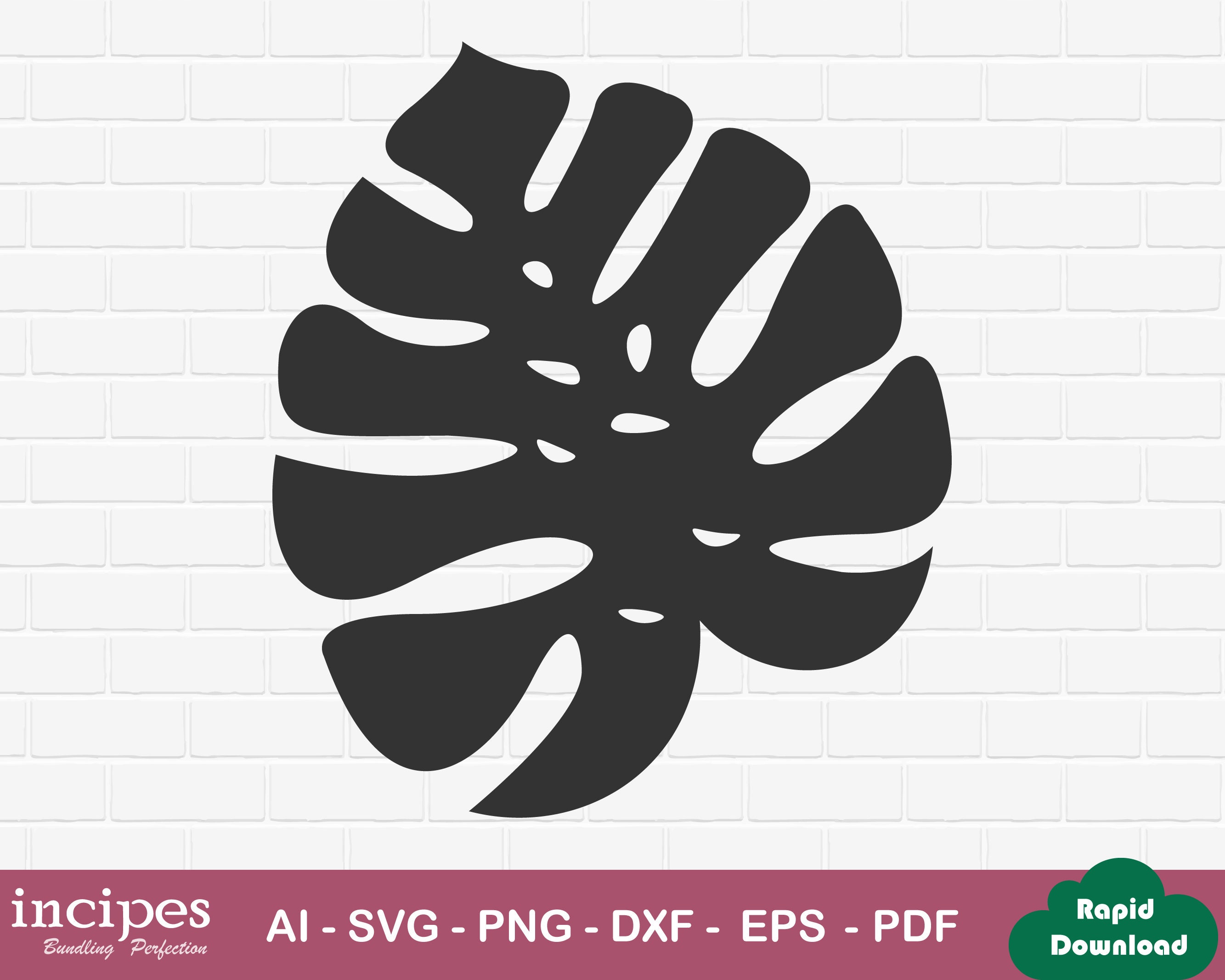 Monstera SVG. Template Monstera. Monstera Cricut. Monstera - Etsy UK