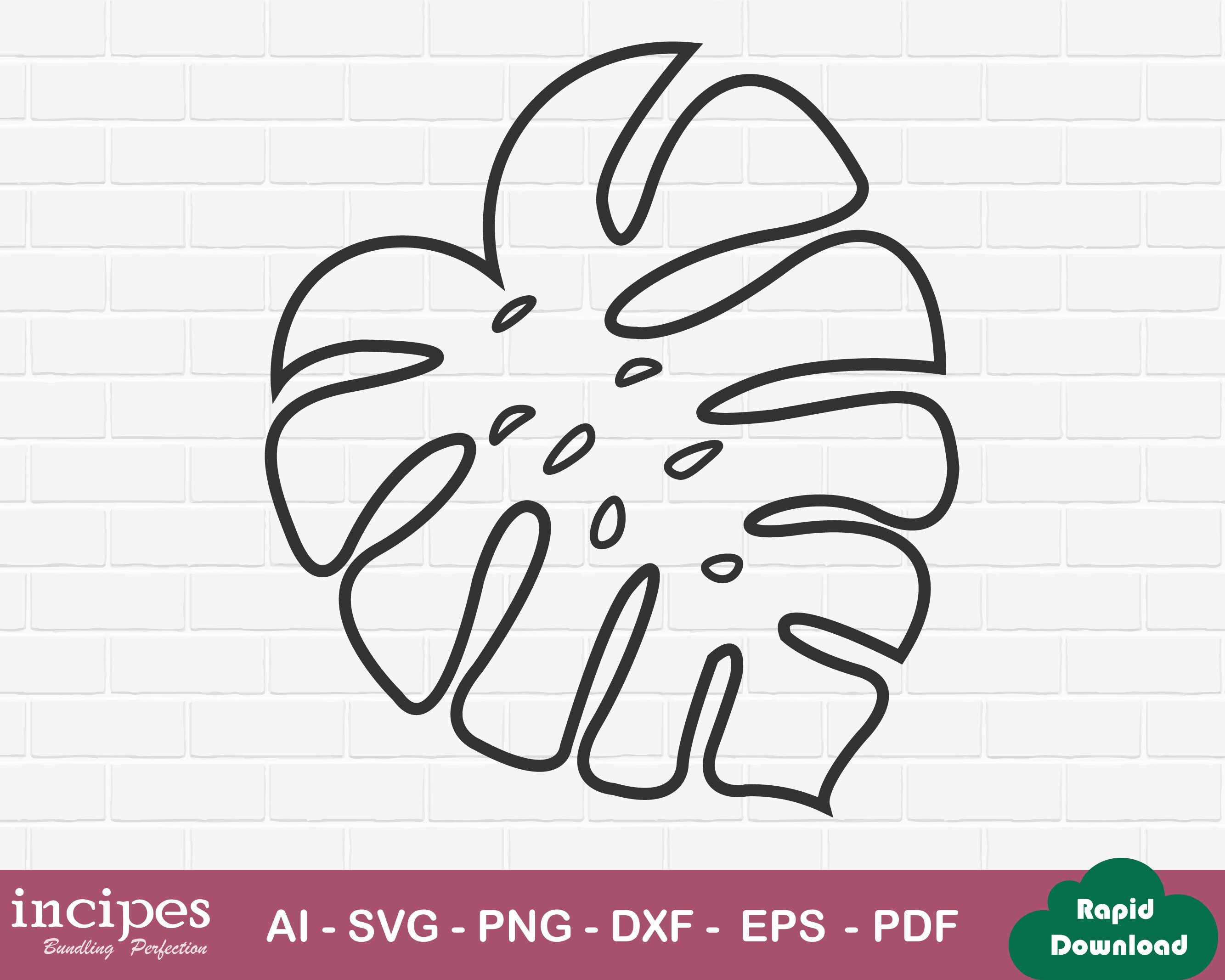 Monstera SVG. Template Monstera. Monstera Cricut. Monstera - Etsy UK