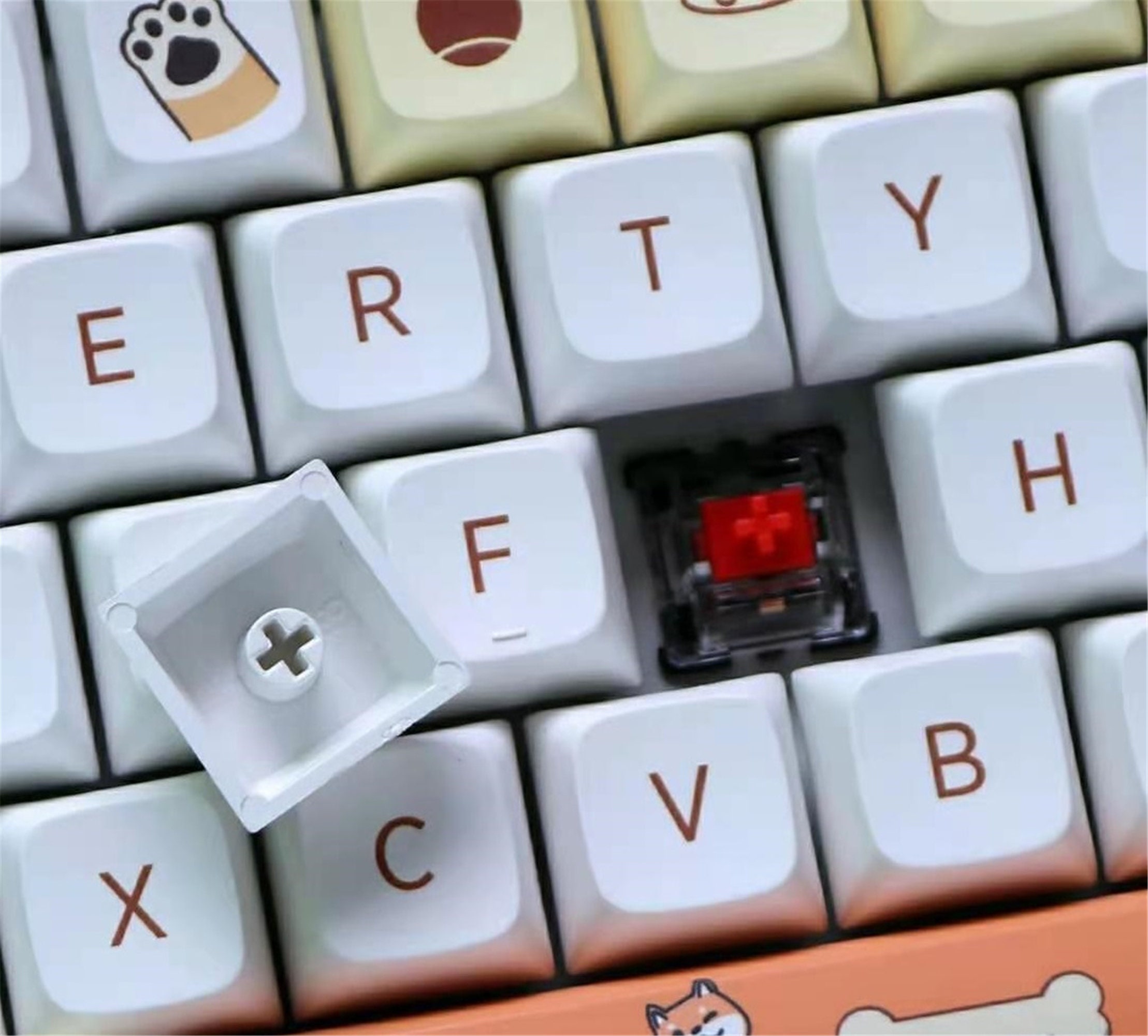 Shiba Inu Keycaps Set Qx1 Keycaps Mechanical MX Keyboard - Etsy Australia
