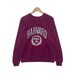Vintage FLORIDA STATE SEMINOLES Sweatshirt Sweater Crew Neck Pullover ...