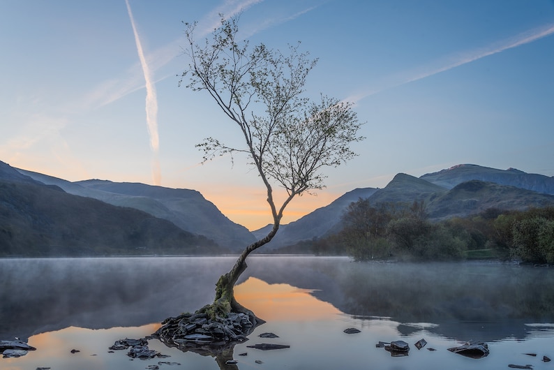 The Lone Tree at Llyn Padarn, Llanberis, Snowdonia. - Etsy
