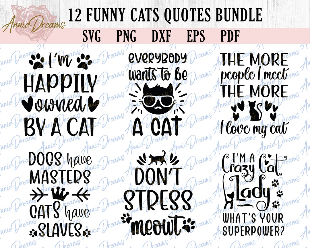 Cats Quotes SVG Bundle, Funny Cats Quotes SVG, Cat Lover SVG, Cat Owner ...