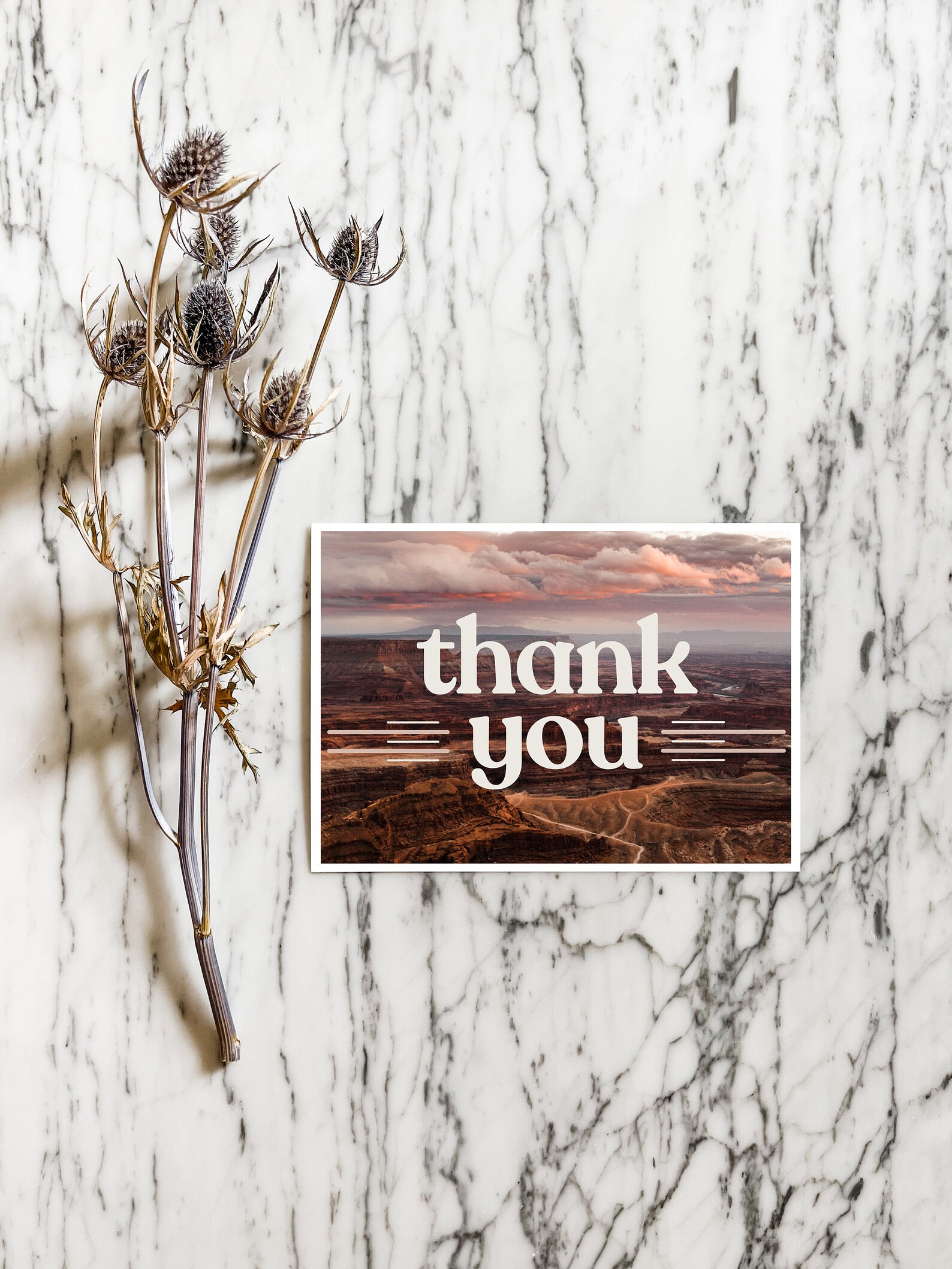 Downloadable Desert Thank You Card, Printable Landscape Thank You Card ...