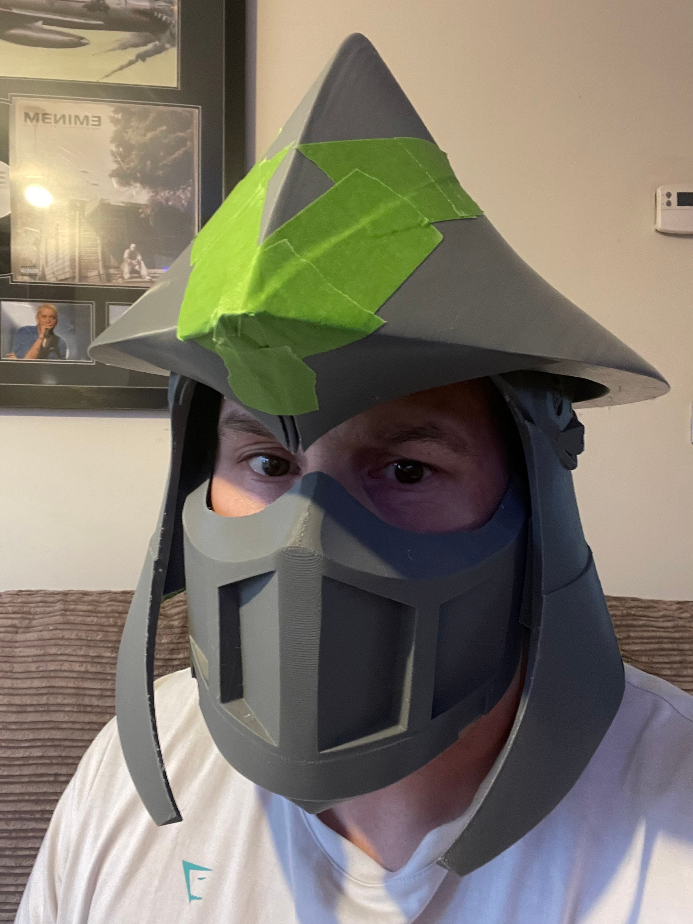 Female Master Splinter Costume