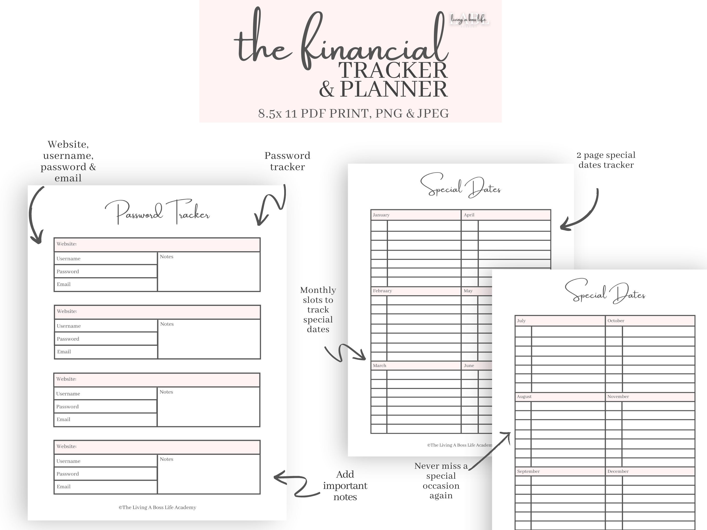 Financial Planner & Tracker Printable /fillable PDF Digital - Etsy Canada