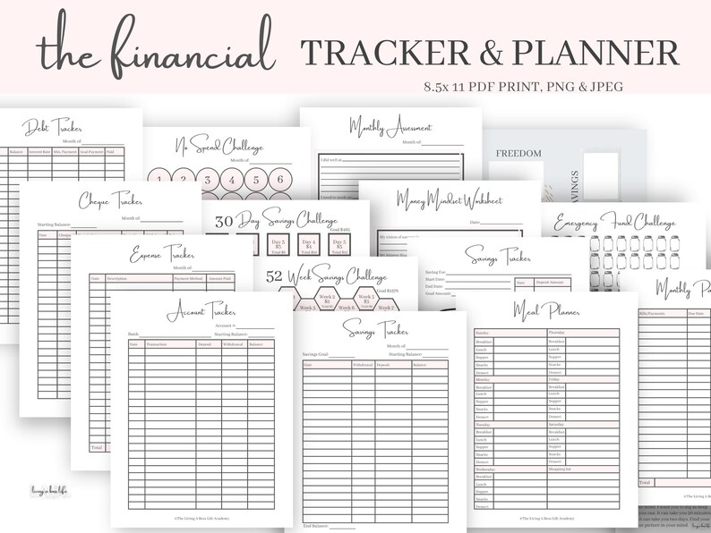Financial Planner & Tracker Printable /fillable PDF Digital - Etsy Canada