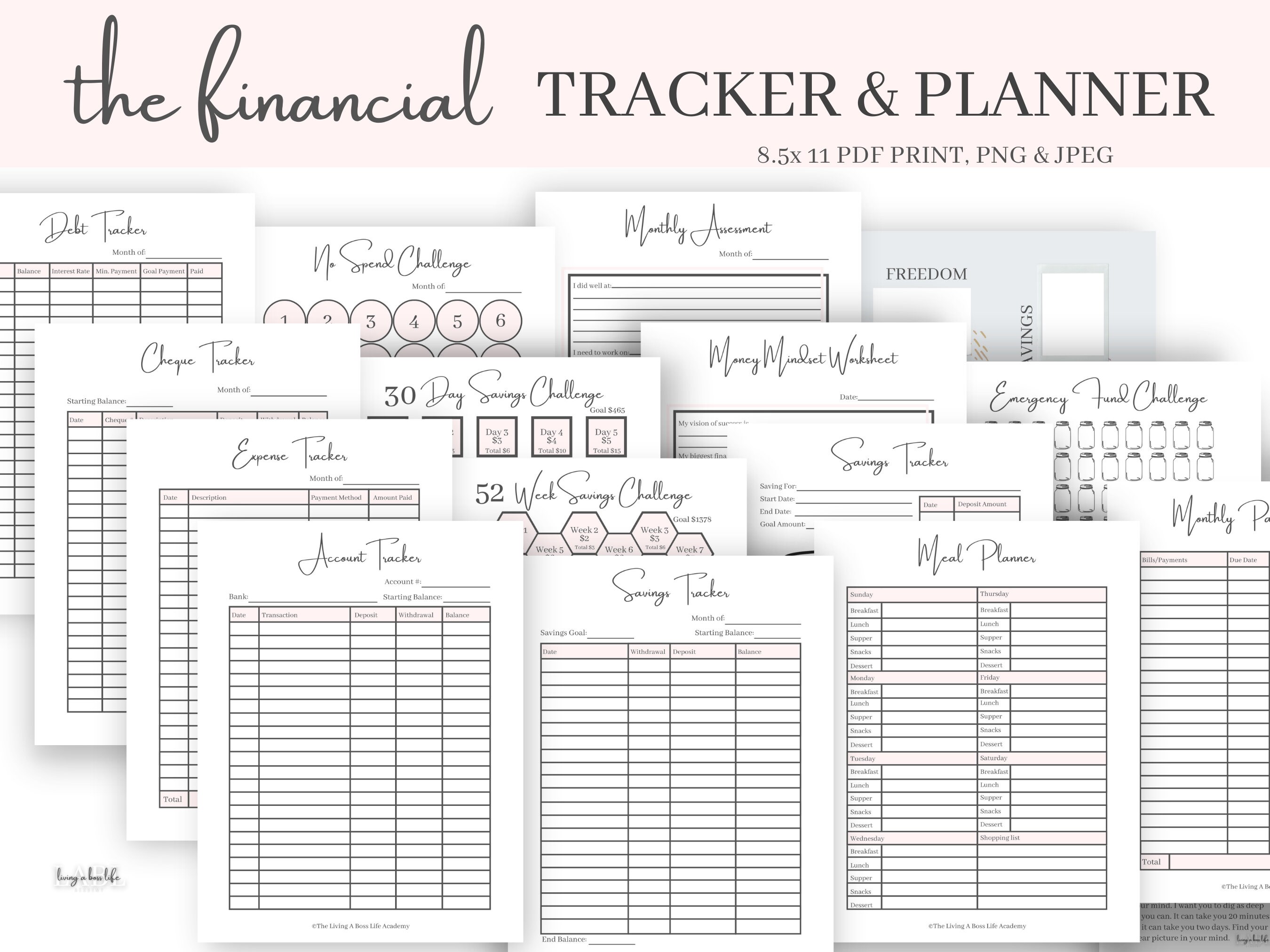 Financial Planner & Tracker Printable /fillable PDF Digital - Etsy Canada