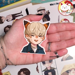 Stray Kids Chibi Sticker Pack 15 Pcs Kawaii Kpop Stickers - Etsy