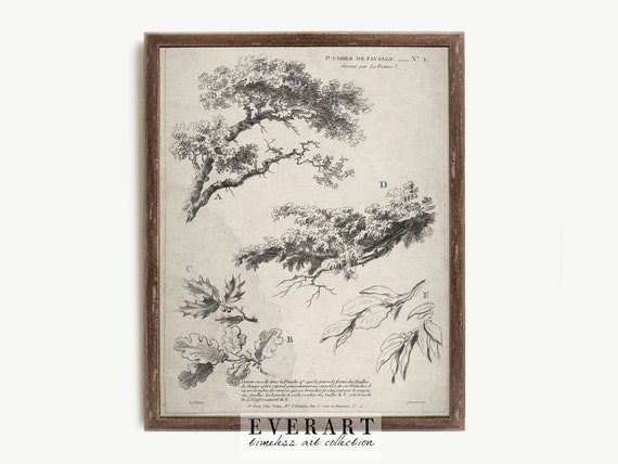 Study of Branches Antique Sketch Printable Vintage Wall | Etsy
