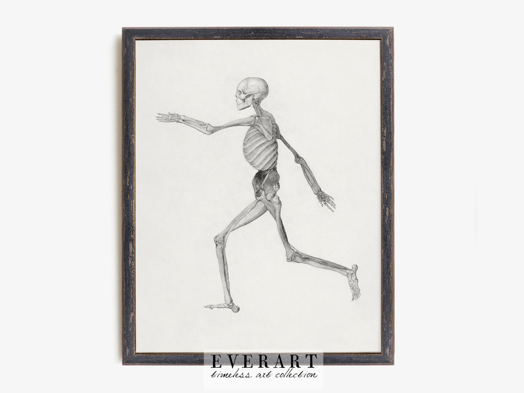 Funny Skeleton Print, Anatomical Drawing Neutral Printable Wall Art ...