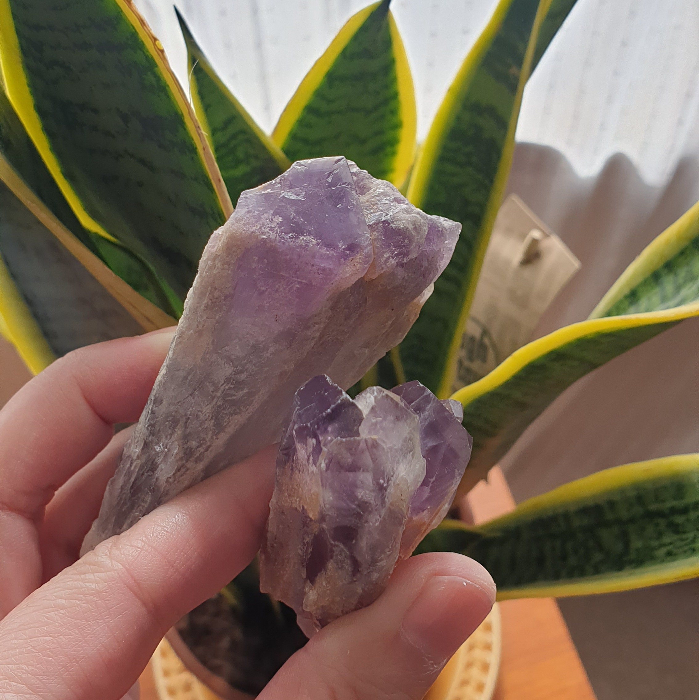Mid size Raw Amethyst Cluster Flame Geode Root / Uruguay / - Etsy Singapore