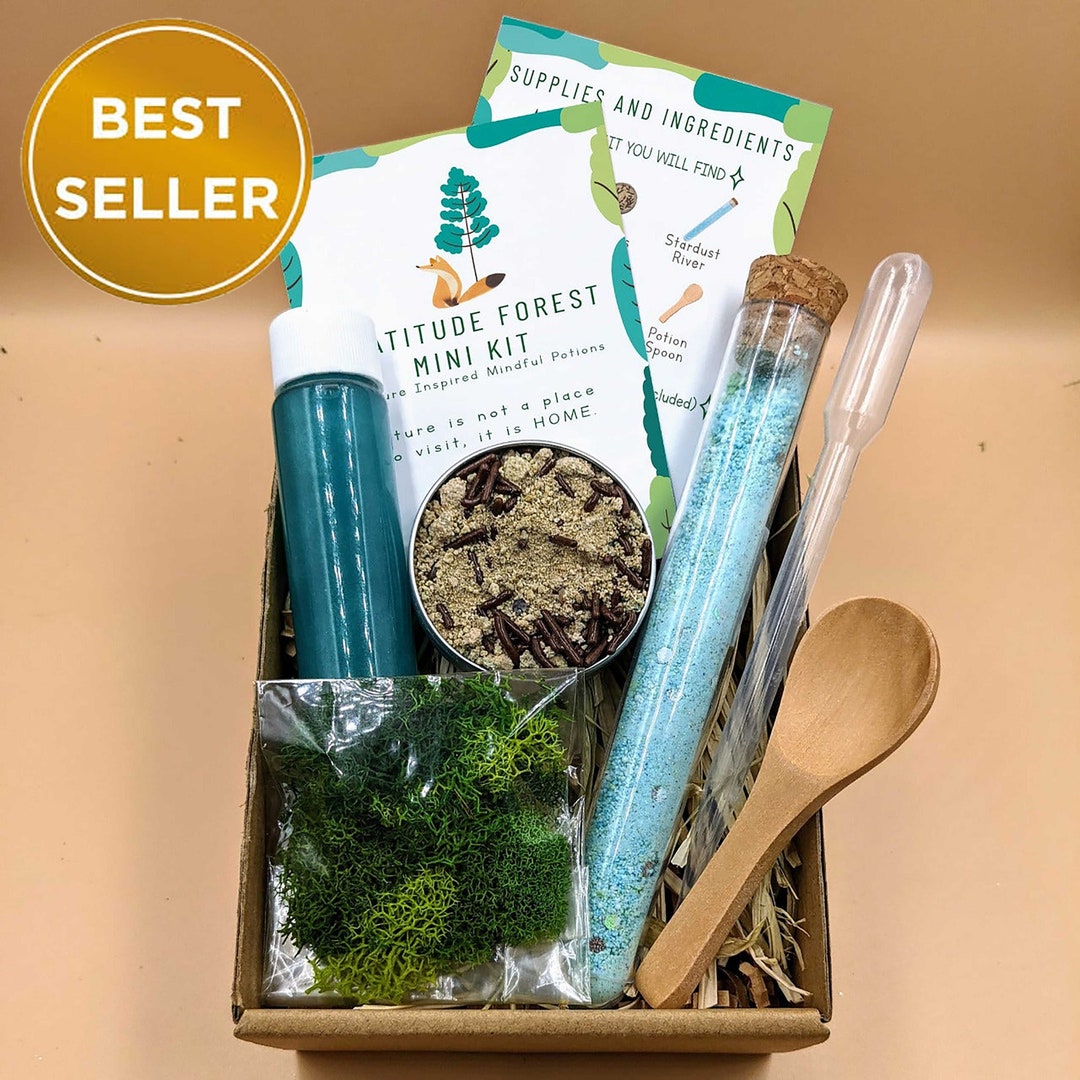 Wild Forest Potion Mini Kit for Kids With Affirmations Sensory STEM Kit ...