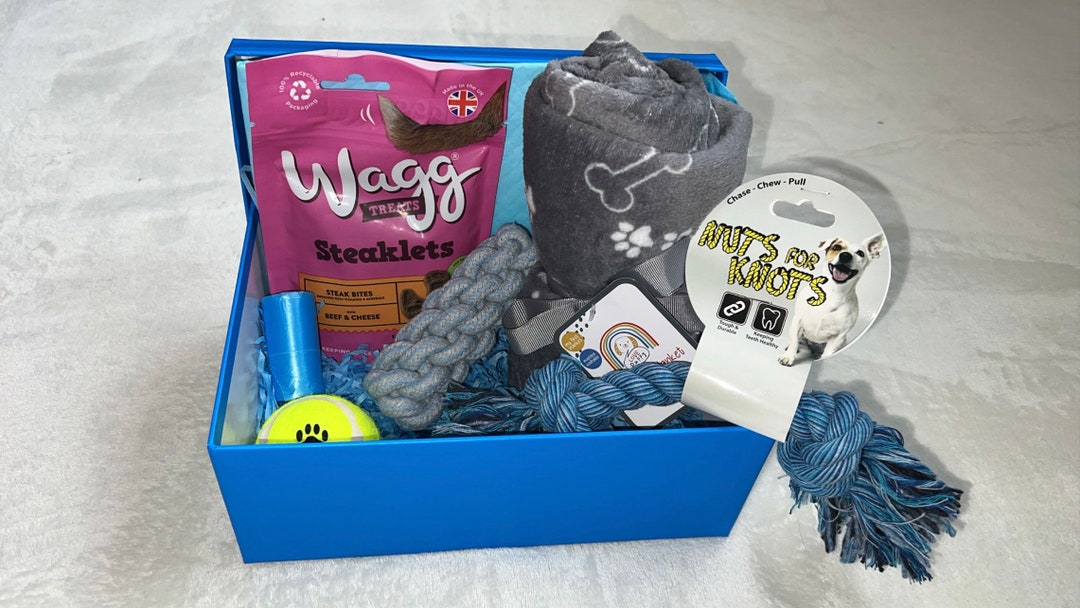 Puppy Starter Box - Etsy