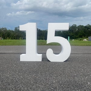 Self Standing Number 15 | Large Foam Fifteen Characters | Girl ...