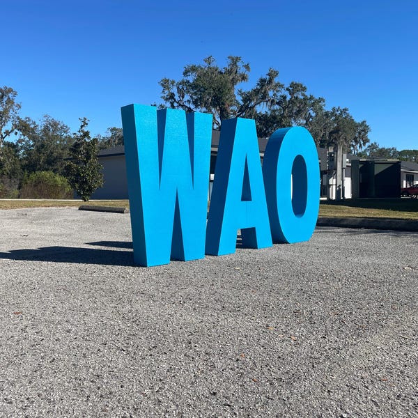 Large Acrylic Letters - Etsy