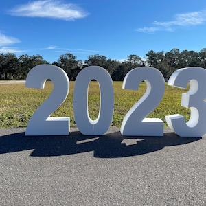 PICK ANY 2 3D Giant Styrofoam Numbers | 3D Foam Tabletop Numbers ...