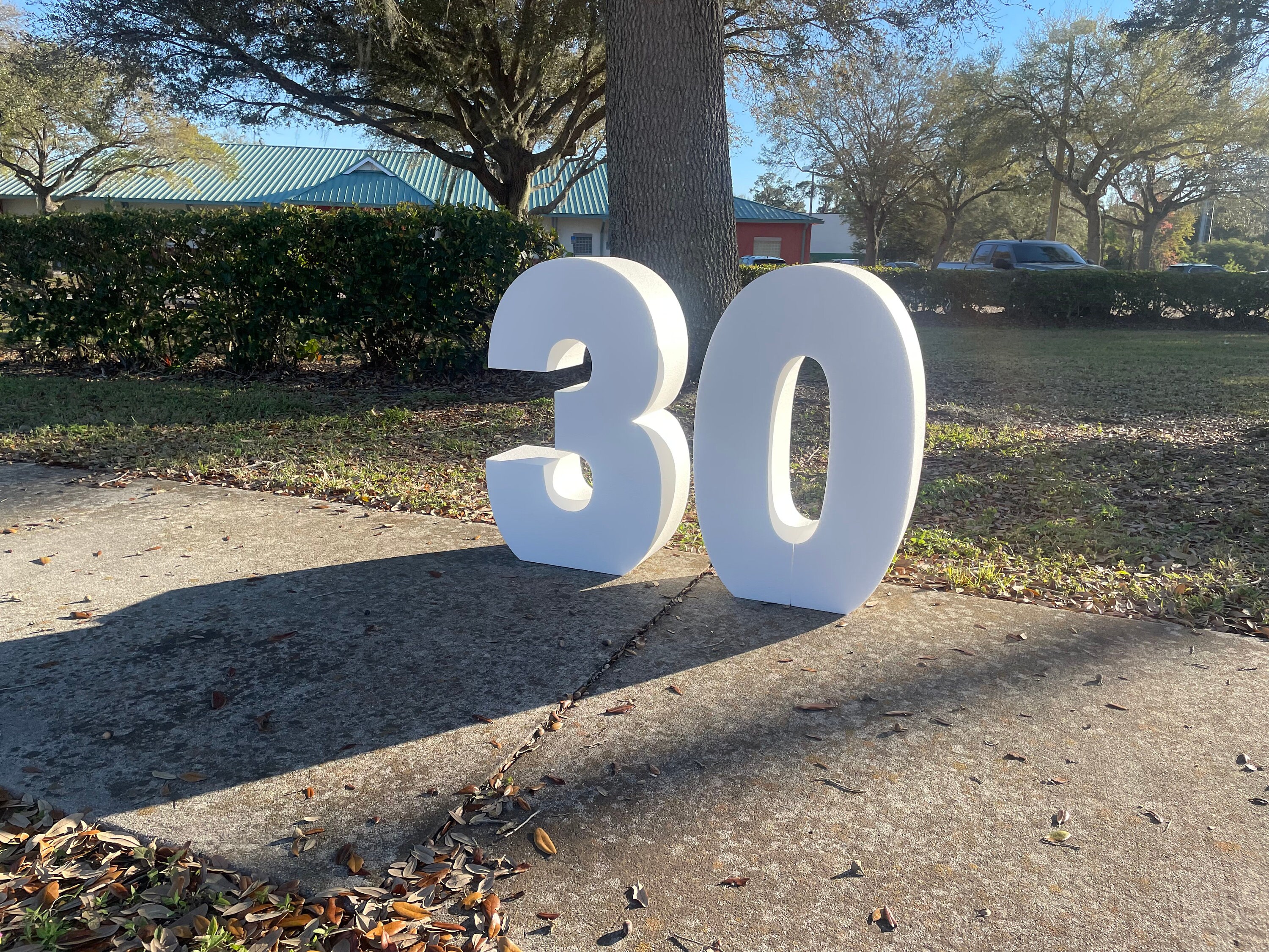 Large 3D Foam Number, 2.5 Feet Tall Party Numbers, Birthday Party Decor ...