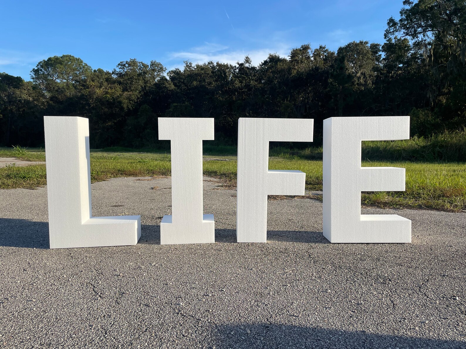 Big Self Standing Styrofoam Letters | 30" Tall Custom 3D Names | Large ...