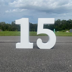 PICK ANY 2 Big Styrofoam Party Numbers | Large 3D Foam Tabletop Numbers ...