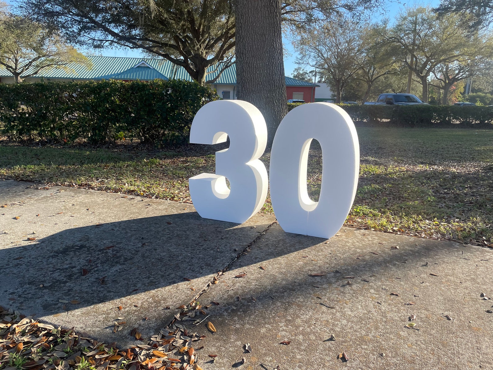 Big 3D Birthday Party Numbers! | Large Thick Foam Number Letters Pick ...