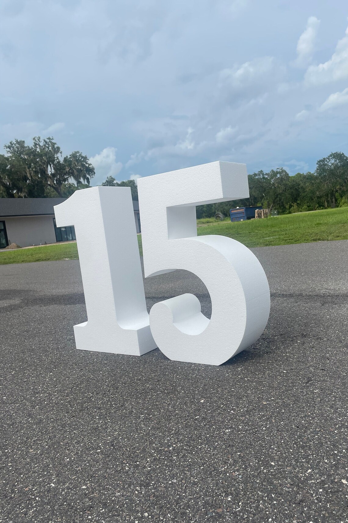 PICK ANY 2 Big Styrofoam Party Numbers Large 3D Foam Tabletop Numbers ...