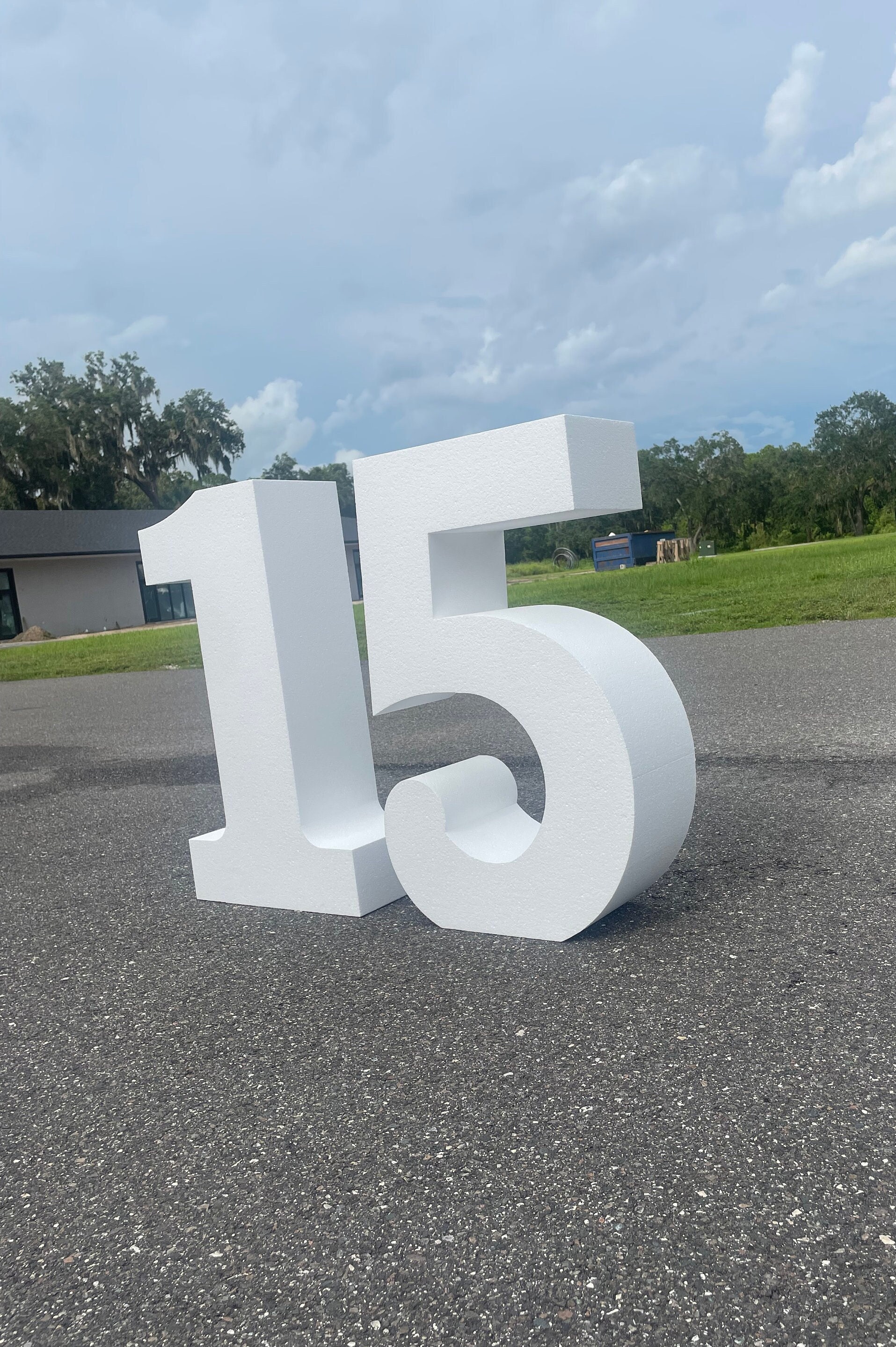 PICK ANY 2 Big Styrofoam Party Numbers | Large 3D Foam Tabletop Numbers ...