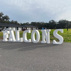 3ft Lettering/numbers for Fun Events & Parties! | 3feet Tall Self ...