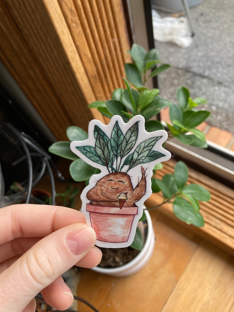 Mandrake Plant Sticker Happy Wizard Plant Watercolor Art Vinyl Sticker ...