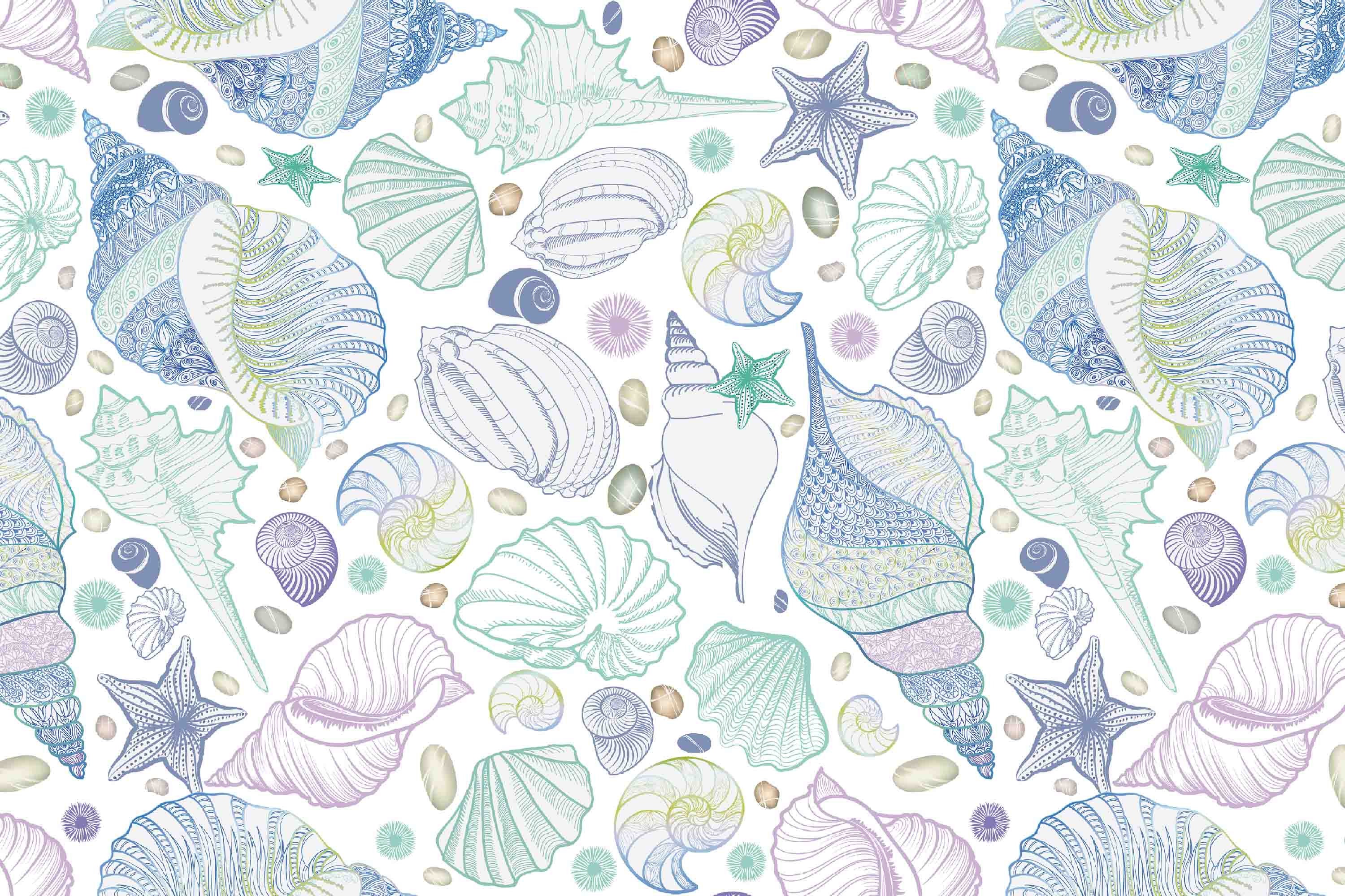 Shells Shell Seashell Sea Wall Mural Removable Wallpaper - Etsy